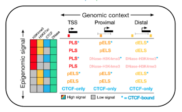 ENCODE cCREs Track Settings