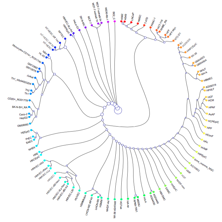 ENCODE Regulation DNase HS Track Settings